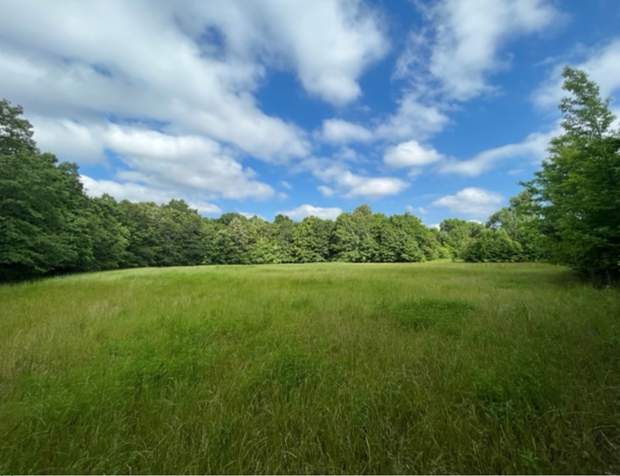 Lusk - David Fisher Land Co.